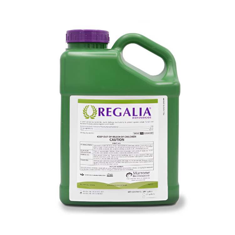 Marrone Bio Innovations Regalia – Hydro City