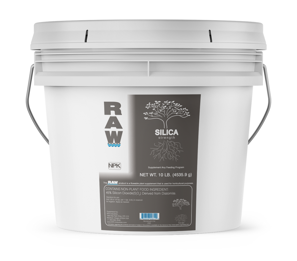 RAW Silica